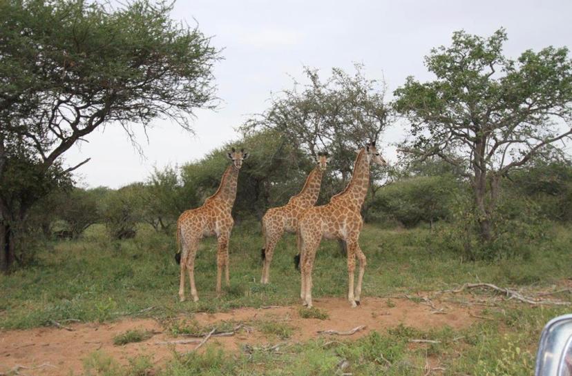 Maruleng Local Municipality