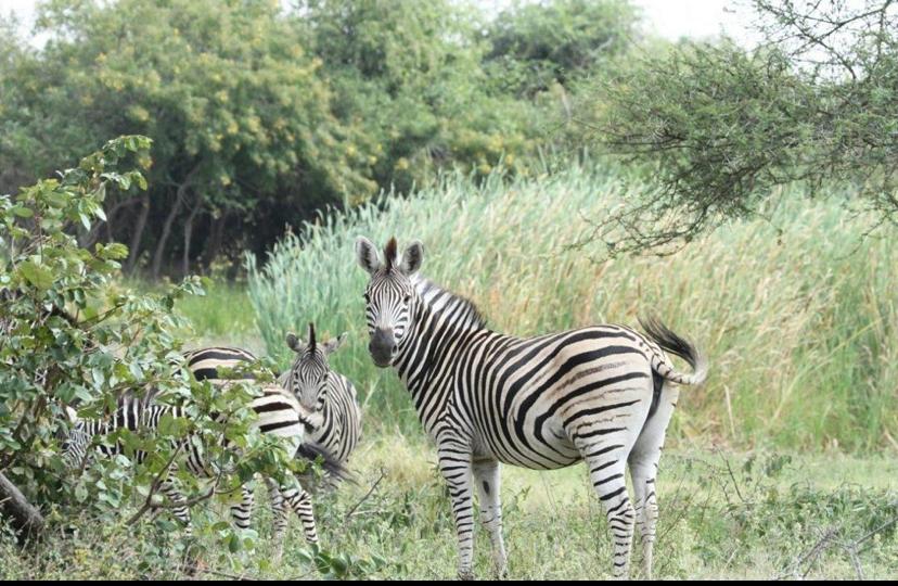 Maruleng Local Municipality