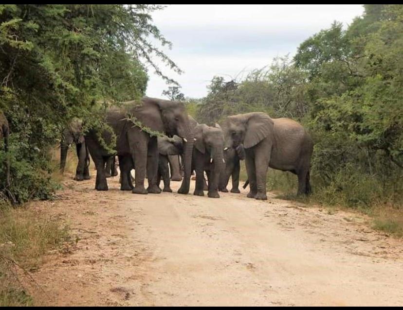 Maruleng Local Municipality