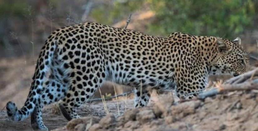 Maruleng Local Municipality